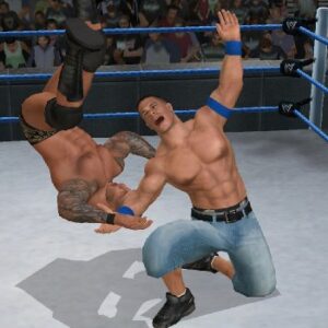 WWE SmackDown vs. Raw 2010 - Nintendo Wii