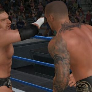 WWE SmackDown vs. Raw 2010 - Nintendo Wii