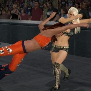 WWE SmackDown vs. Raw 2010 - Nintendo Wii