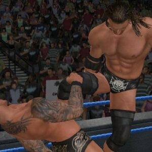 WWE SmackDown vs. Raw 2010 - Nintendo Wii