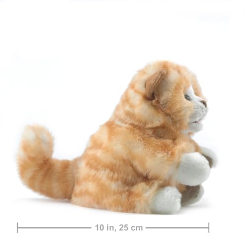 Folkmanis Orange Tabby Kitten Hand Puppet Orange, White, 1 EA