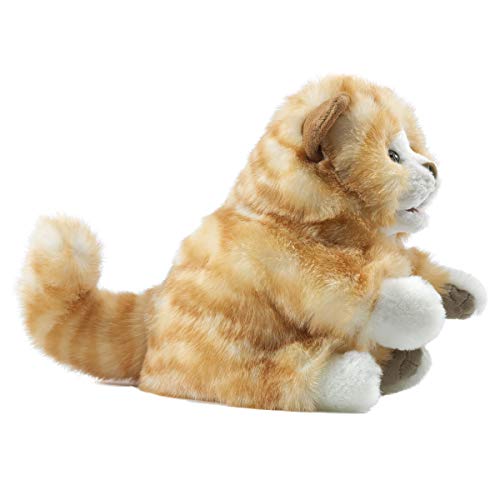 Folkmanis Orange Tabby Kitten Hand Puppet Orange, White, 1 EA