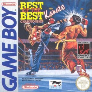 best of the best karate championship ( game boy)