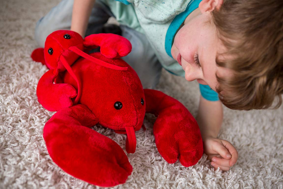 Mary Meyer Stuffed Animal Soft Toy, Lobbie Lobster, 10-Inches, Red , Black