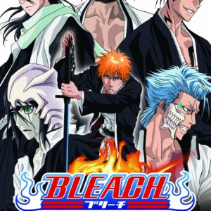 Bleach: Soul Carnival 2 [Japan Import]