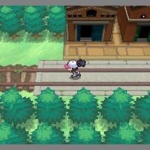 Pokemon Black [DSi Enhanced] [Japan Import]