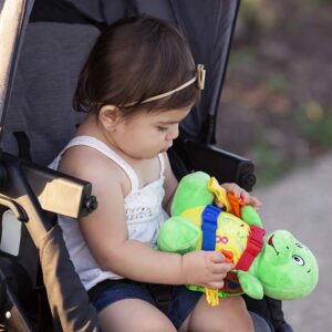 Buckle Toys - Bucky Turtle - Toddler Learning Activity - Develop Motor Skills and Problem Solving - Counting and Color Recognition - Sensory Stuffed Animal Travel Toy