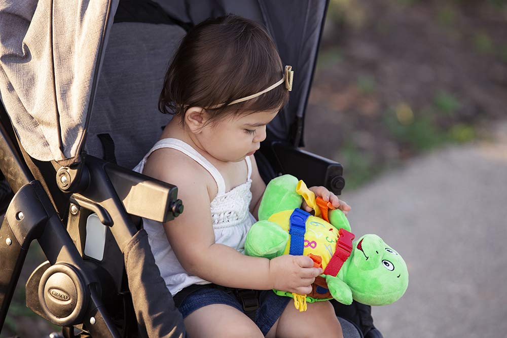 Buckle Toys - Bucky Turtle - Toddler Learning Activity - Develop Motor Skills and Problem Solving - Counting and Color Recognition - Sensory Stuffed Animal Travel Toy