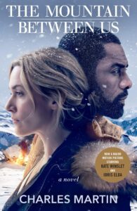 the mountain between us: a novel