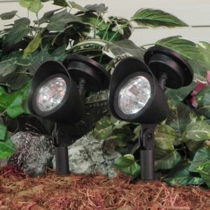 Sterno Home GL23836BK2 Paradise Solar LED 3 lumens Plastic Spot Light, 2-Pack, Black, 2 Count