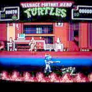 Teenage Mutant Hero Turtles the Coin-up