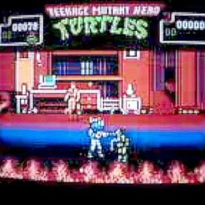 Teenage Mutant Hero Turtles the Coin-up