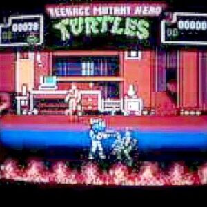 Teenage Mutant Hero Turtles the Coin-up