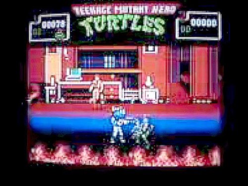 Teenage Mutant Hero Turtles the Coin-up