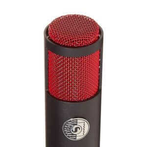 Shure KSM313/NE Dual-Voice Ribbon Microphone with Roswellite Ribbon Technology