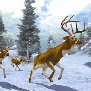 Cabela's Monster Buck Hunter - Software Only - Nintendo Wii