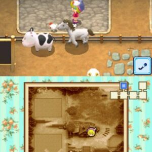 Harvest Moon: Grand Bazaar - Nintendo DS