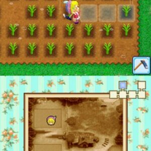 Harvest Moon: Grand Bazaar - Nintendo DS