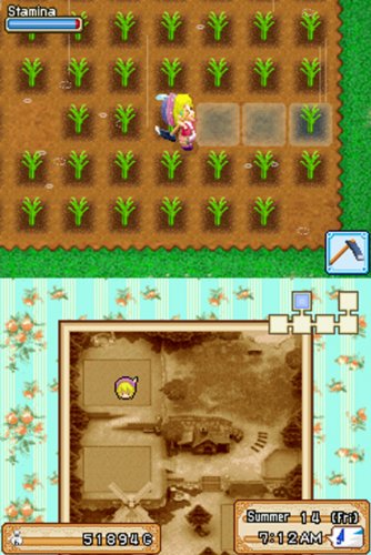 Harvest Moon: Grand Bazaar - Nintendo DS