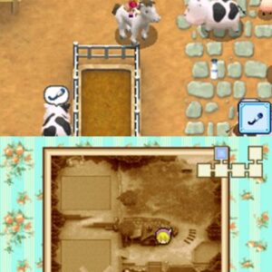 Harvest Moon: Grand Bazaar - Nintendo DS