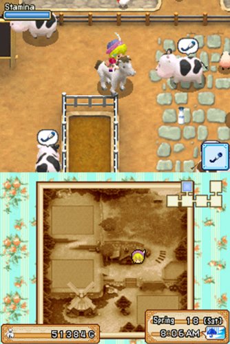 Harvest Moon: Grand Bazaar - Nintendo DS