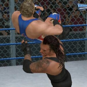 WWE SmackDown vs. Raw 2011 - Nintendo Wii