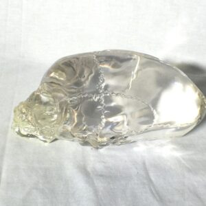 Indy, Alien Crystal Skull Real Prop Replica, Signed, Numbered, Limited Edition