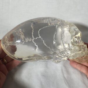 Indy, Alien Crystal Skull Real Prop Replica, Signed, Numbered, Limited Edition