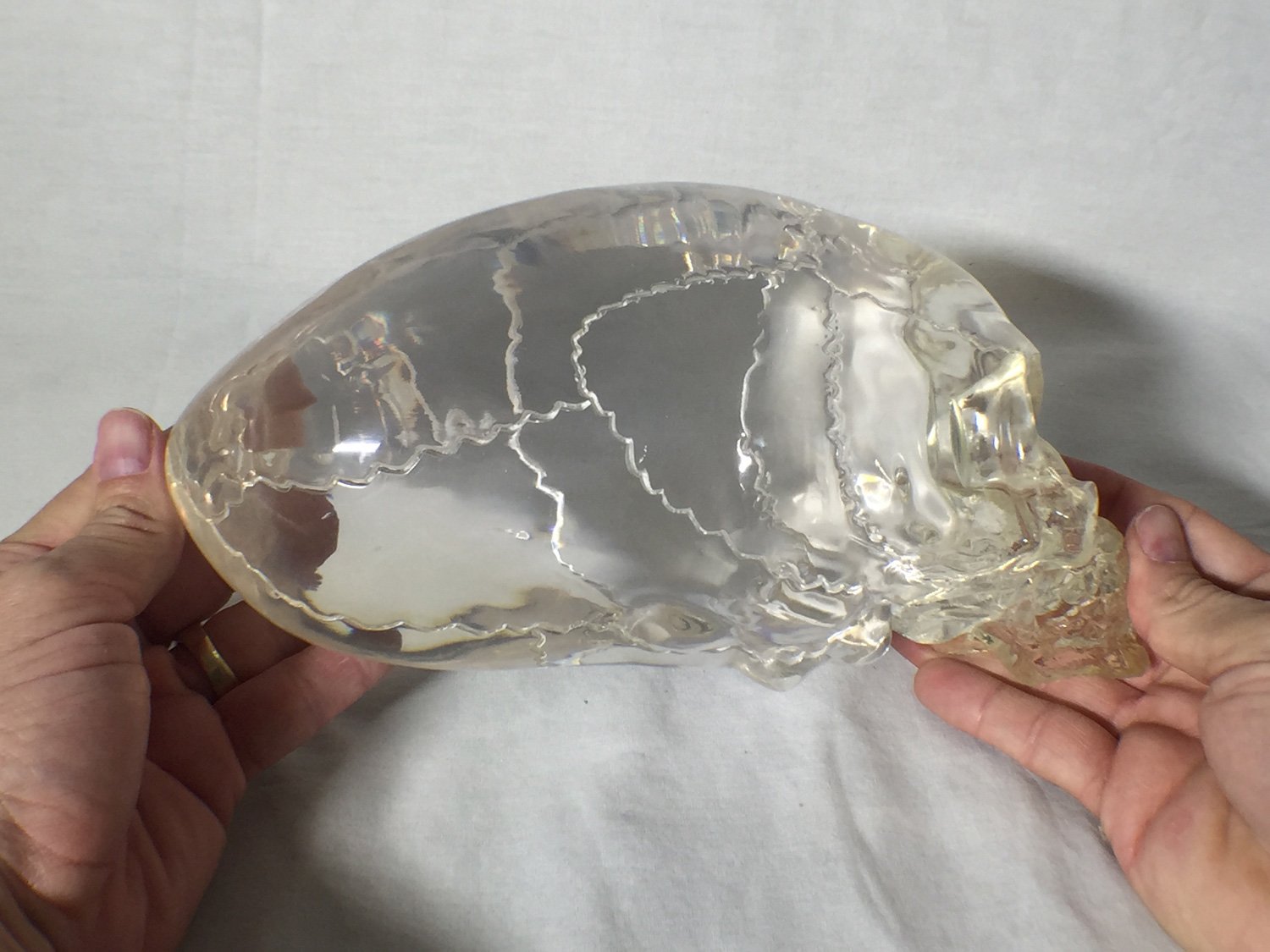 Indy, Alien Crystal Skull Real Prop Replica, Signed, Numbered, Limited Edition