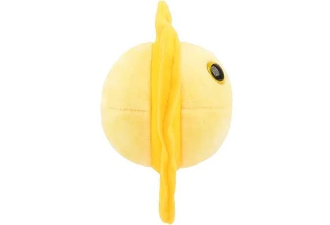 GIANTmicrobes Herpes Plush, STIs, STDs, Medical Gag Gifts Funny, OBGYN Gifts for Doctors, Infection Prevention Gifts, Infection Control Nurse Gifts