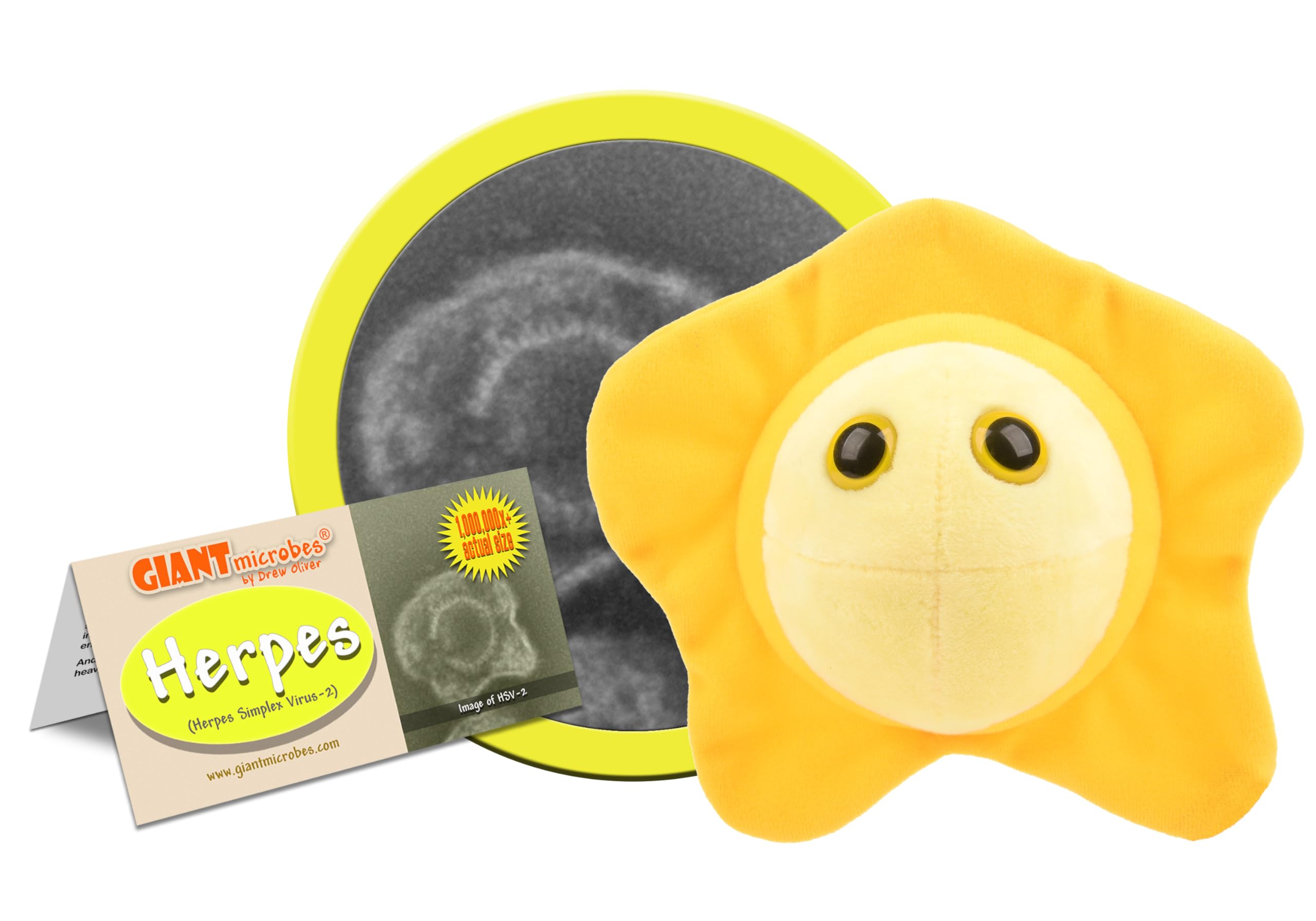 GIANTmicrobes Herpes Plush, STIs, STDs, Medical Gag Gifts Funny, OBGYN Gifts for Doctors, Infection Prevention Gifts, Infection Control Nurse Gifts