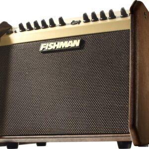 Fishman Loudbox Mini 60W Acoustic Instrument Amplifier