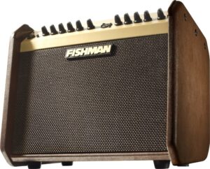 fishman loudbox mini 60w acoustic instrument amplifier