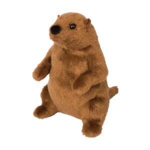 douglas mr g. groundhog plush stuffed animal