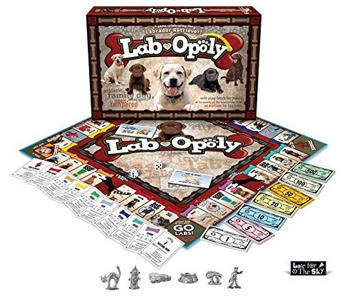 Late for the Sky Lab-opoly