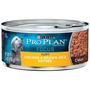 pp class chk/rce puppy 24/5.5oz by nestle purina petcare