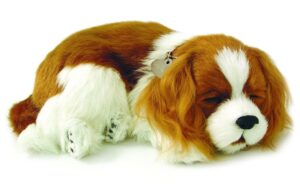 original petzzz cavalier king charles, realistic, lifelike stuffed interactive pet toy, companion pet dog with 100% handcrafted synthetic fur – perfect petzzz