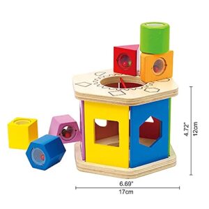 Hape Wooden Shape Sorter Toys| Montessori Educational Learning Toys for Preschoolers Ages 1 Years & Up