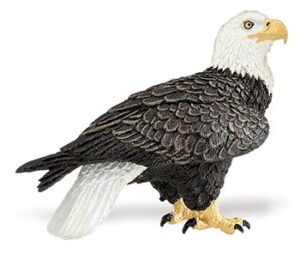 11 pack safari bald eagle