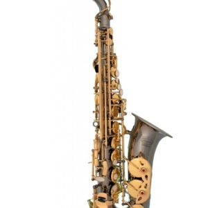 Professional Black Nickel Body Gold Keys E-flat Eb Alto Saxophone Sax with 11 Reeds, Case, Music Book, Mouthpiece and Many Extras, 360-BN