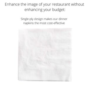 GEORGIA-PACIFIC Dixie 1/4-Fold 2-Ply Dinner Napkin (Previously Acclaim) by PRO (Georgia-Pacific), White, 36202, 500 Napkins Per Pack, 8 Packs Per Case