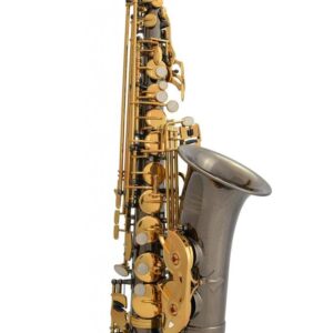 Professional Black Nickel Body Gold Keys E-flat Eb Alto Saxophone Sax with 11 Reeds, Case, Music Book, Mouthpiece and Many Extras, 360-BN