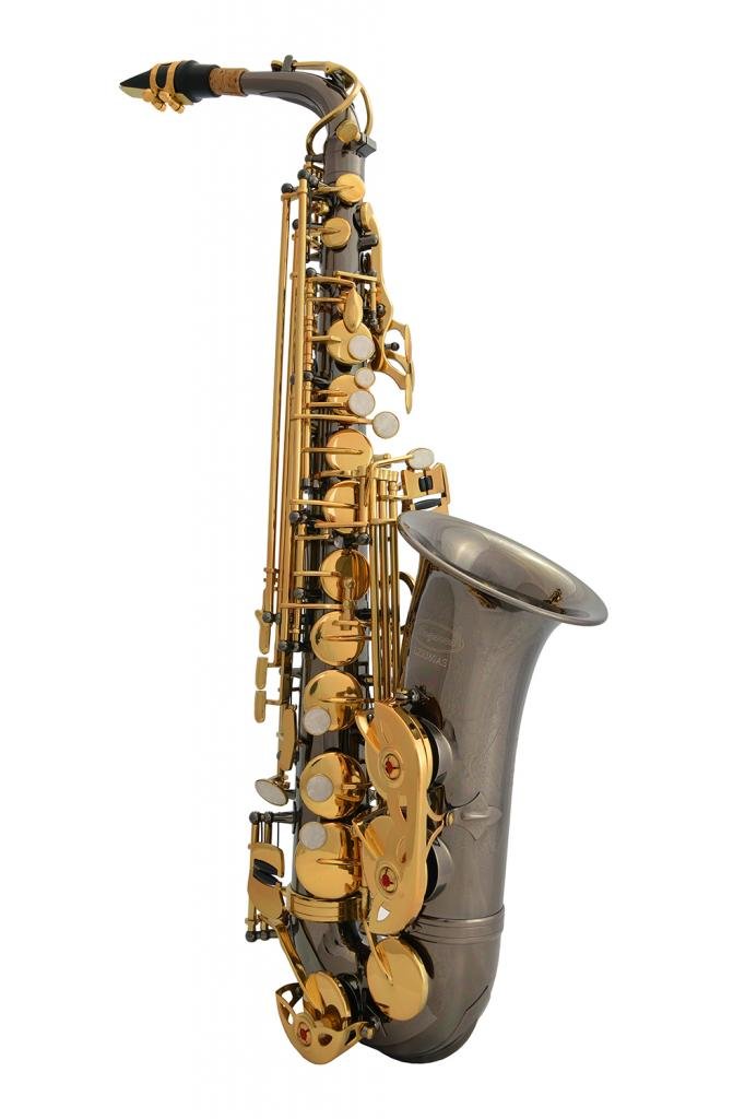 Professional Black Nickel Body Gold Keys E-flat Eb Alto Saxophone Sax with 11 Reeds, Case, Music Book, Mouthpiece and Many Extras, 360-BN