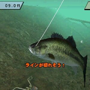 Fish On [Japan Import]