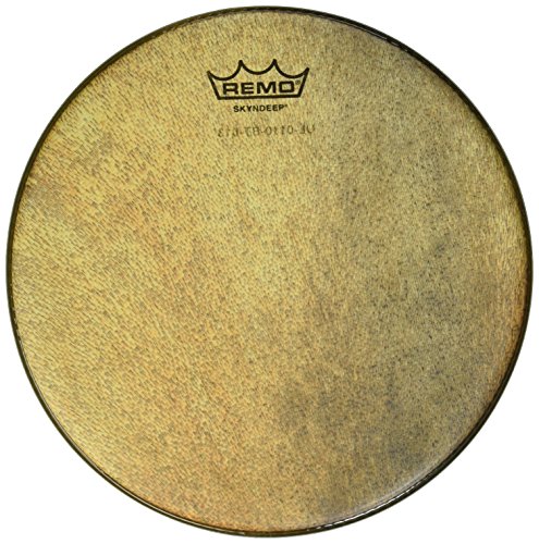 Remo Tambourine (UL0110BT013)