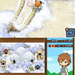 Harvest Moon: Tale of Two Towns - Nintendo DS