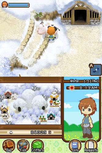 Harvest Moon: Tale of Two Towns - Nintendo DS