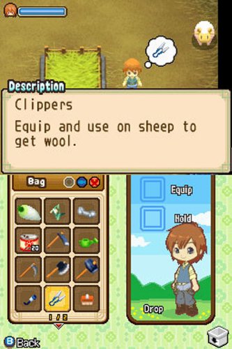 Harvest Moon: Tale of Two Towns - Nintendo DS