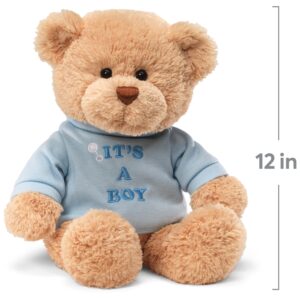 GUND “It’s a Boy” Message Bear with Blue T-Shirt, Teddy Bear Stuffed Animal for Ages 1 and Up, Brown, 12”