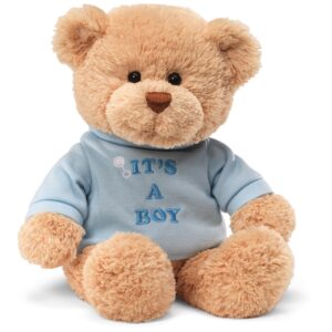 gund “it’s a boy” message bear with blue t-shirt, teddy bear stuffed animal for ages 1 and up, brown, 12”